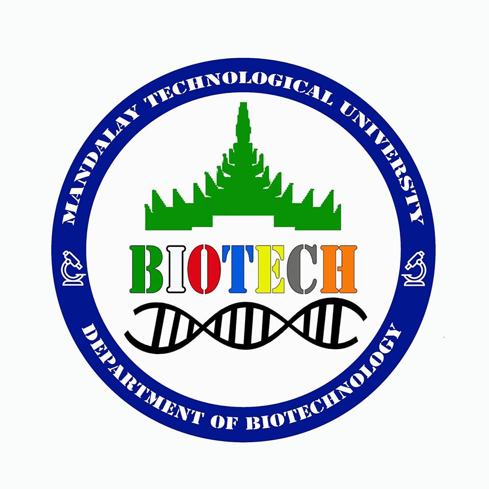 University Of Medicine Mandalay Logo